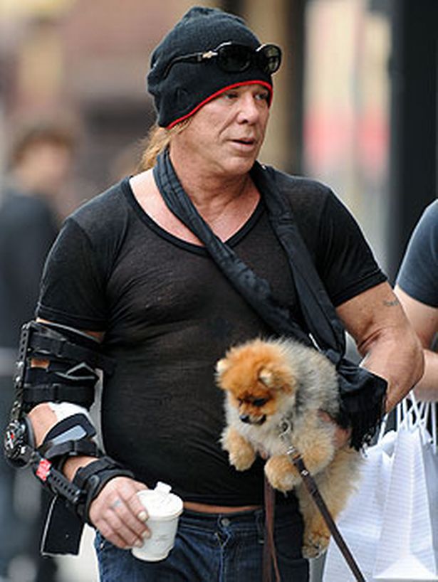 mickey-rourke-pic-splash-428757400 - Petpet.news